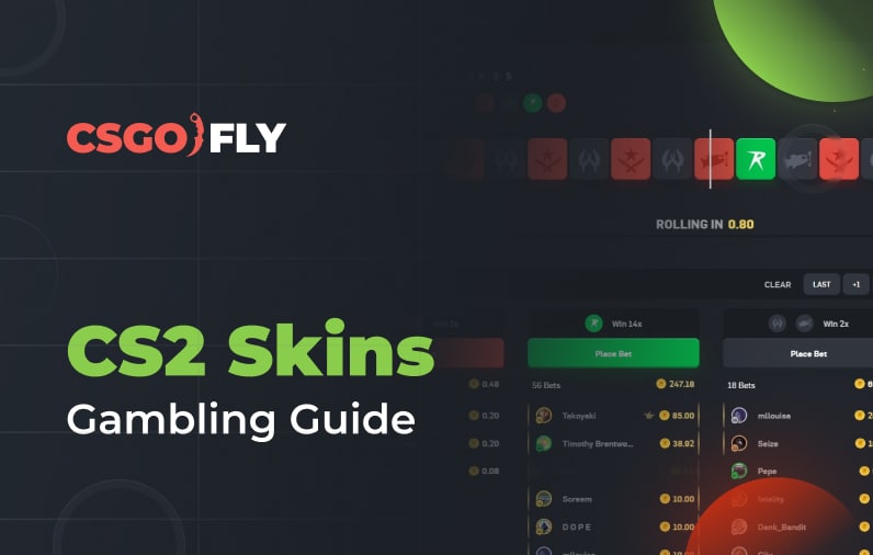 🎓️ CS2 Guides » CSGOFLY