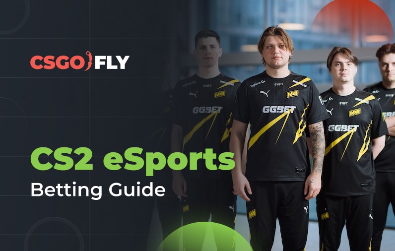 🎓️ CS2 Guides » CSGOFLY